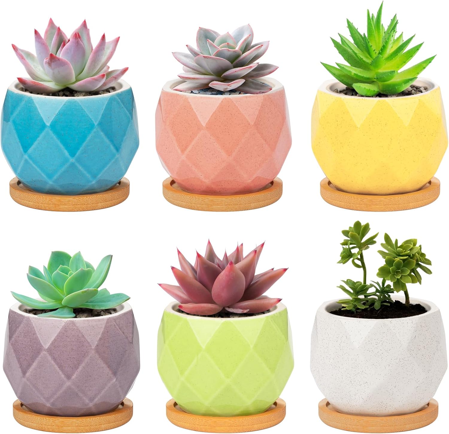 Amazon.com: BDUSXYZ Set of 6 Small Succulent Pot - Mini Ceramic ...