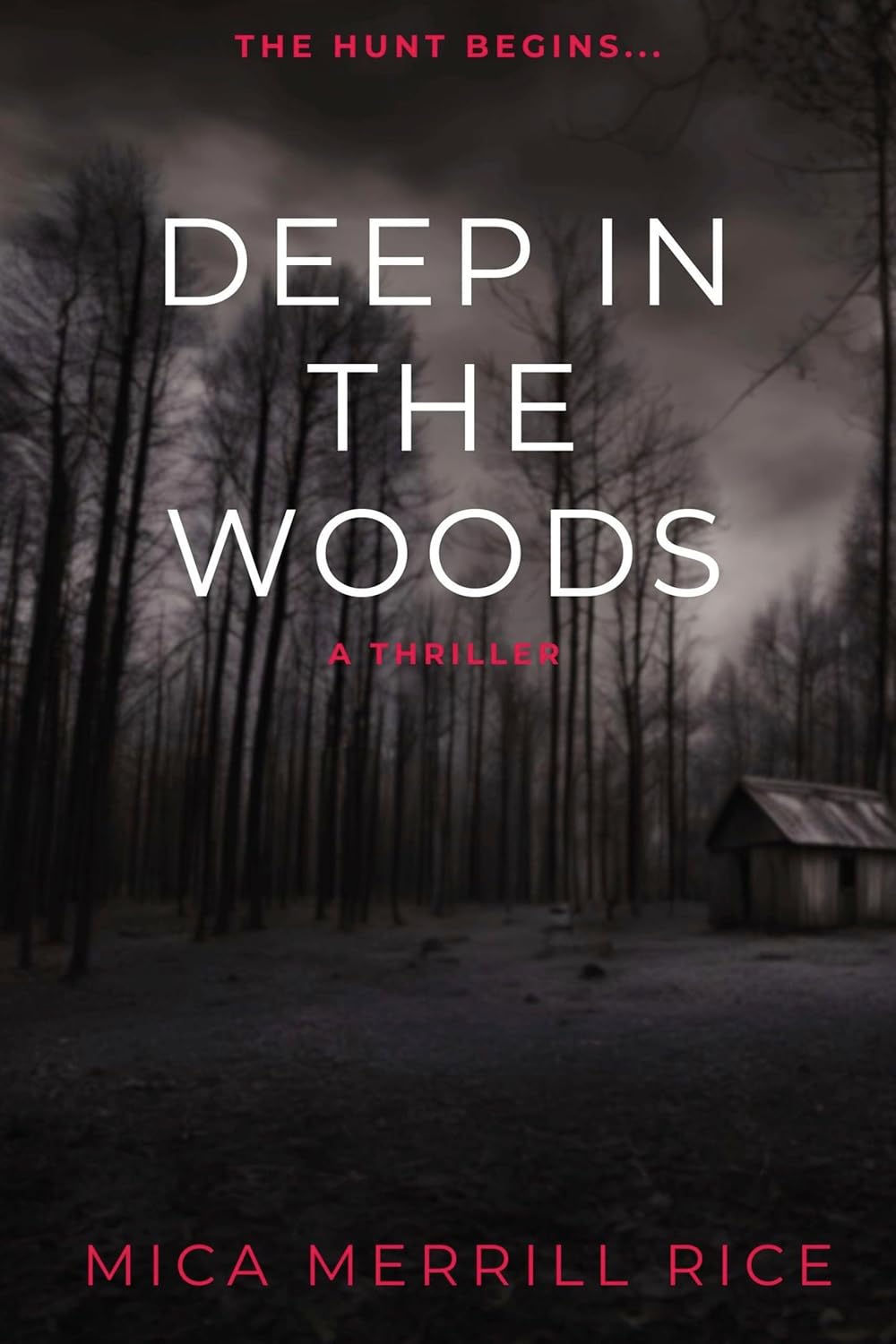 Amazon.com: Deep in the Woods: A small town thriller eBook : Rice, Mica ...