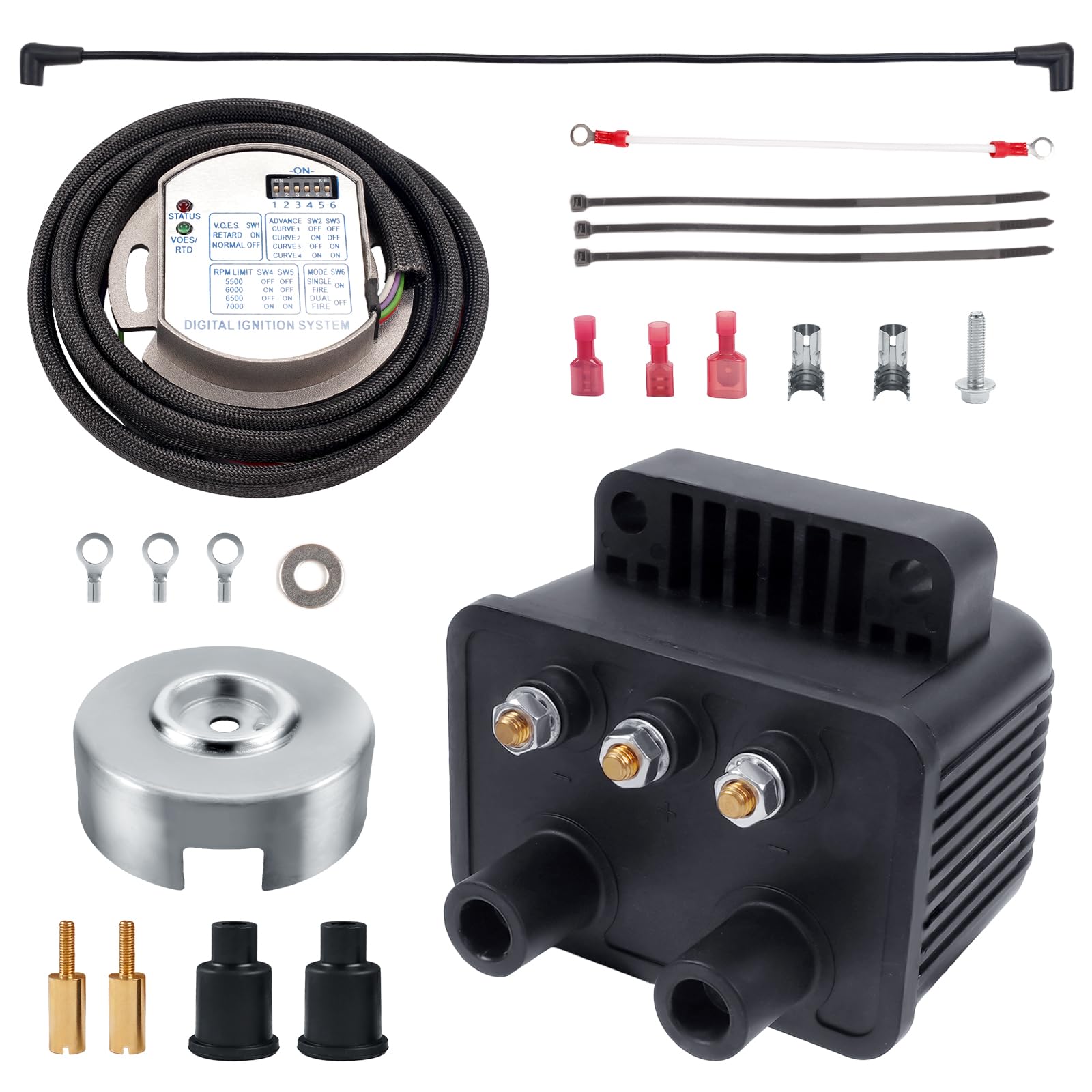 Amazon.com: Programmable Ignition Kit 53-660 Compatible with Big Twin ...