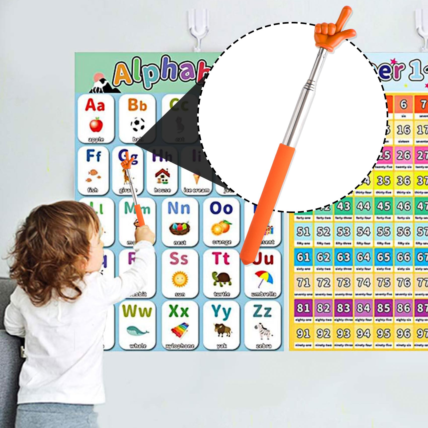 Snapklik.com : PAGOW 5 Pcs Retractable Teacher Pointer Sticks, Colorful ...