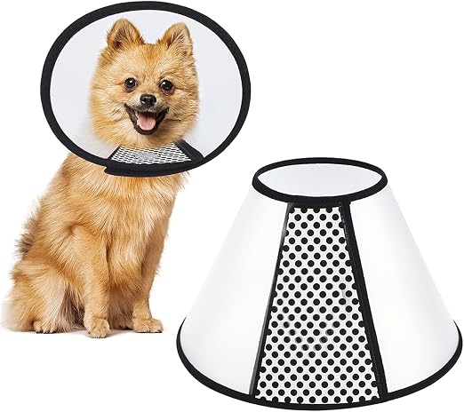 Collerette, Anti-Morsure Collerette pour Chien, Colerette Chien pour ...
