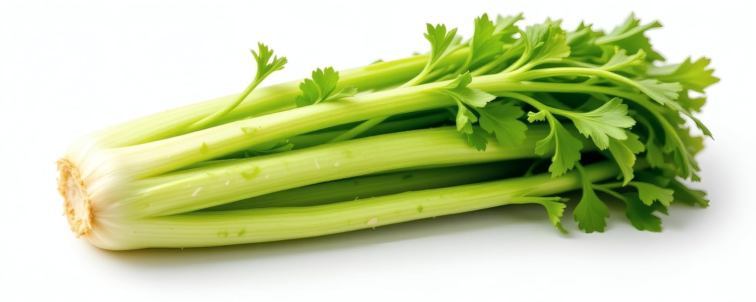 Amazon.com: Celery, 1 Each : Grocery & Gourmet Food