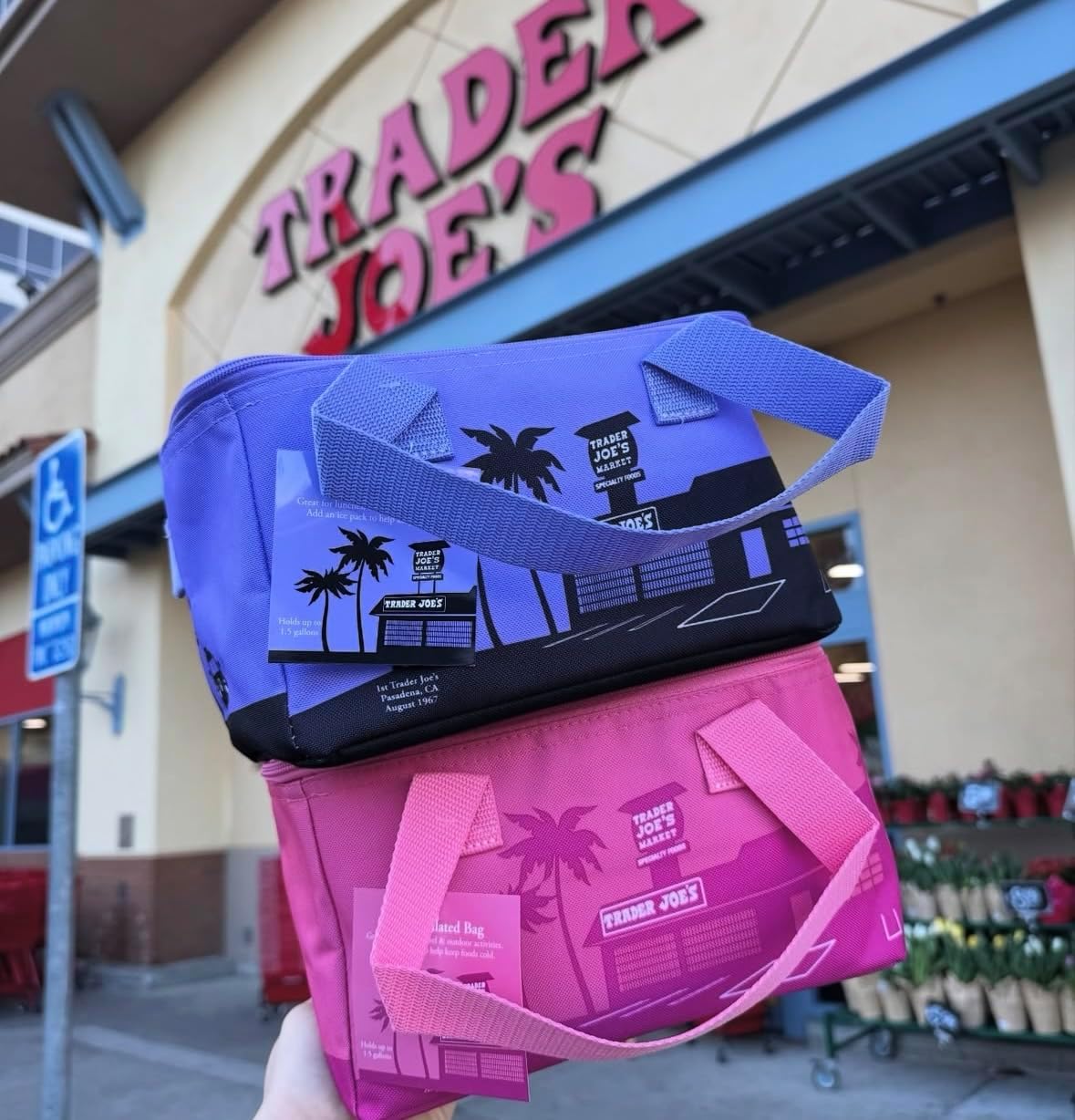 Amazon.com : Trader Joe's Mini Insulated Cooler Bag - Set of 2 - Pink ...