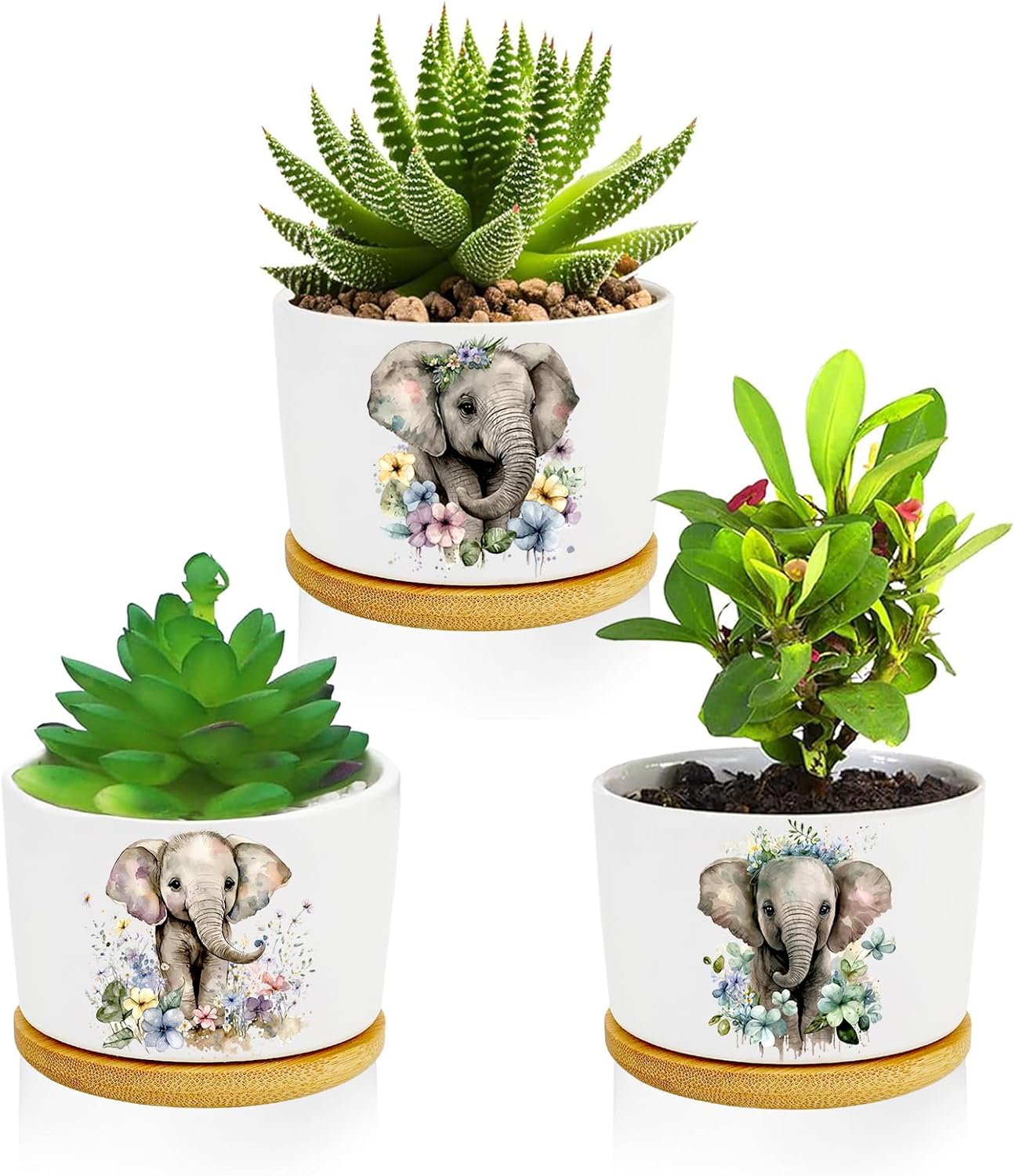 Amazon.com: Databa Elephants Succulent Pots 3 Pack, 3 Inch Succulent ...