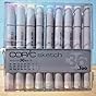 Amazon.com : COPIC Too Copic Sketch Basic 36 Colors Set Multicolor ...