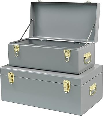 Amazon.com: Vixdonos Metal Trunk Decorative Storage Box Set of 2 ...