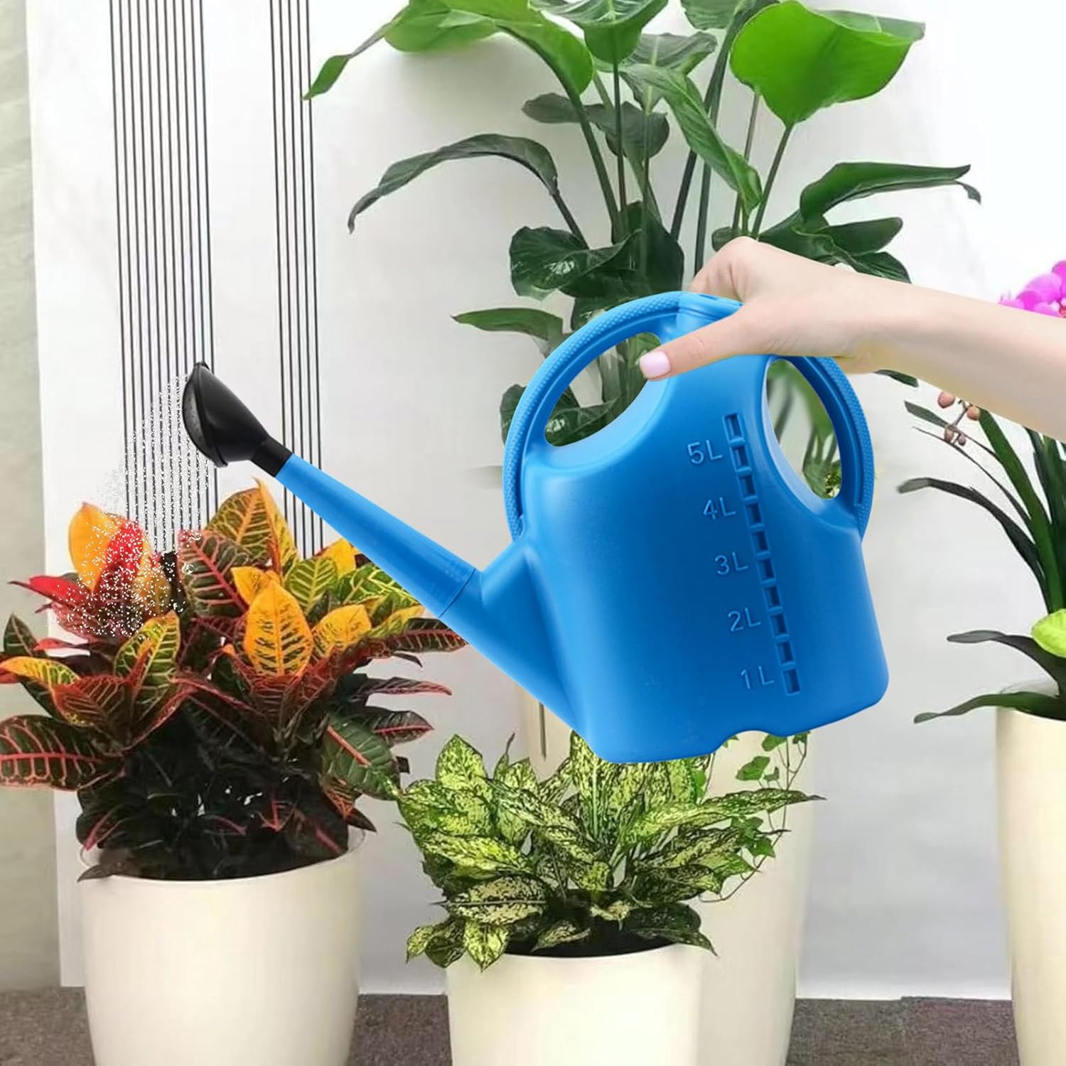 Amazon.com : Generic 2-Gallon Plastic Watering Can with Comfortable ...