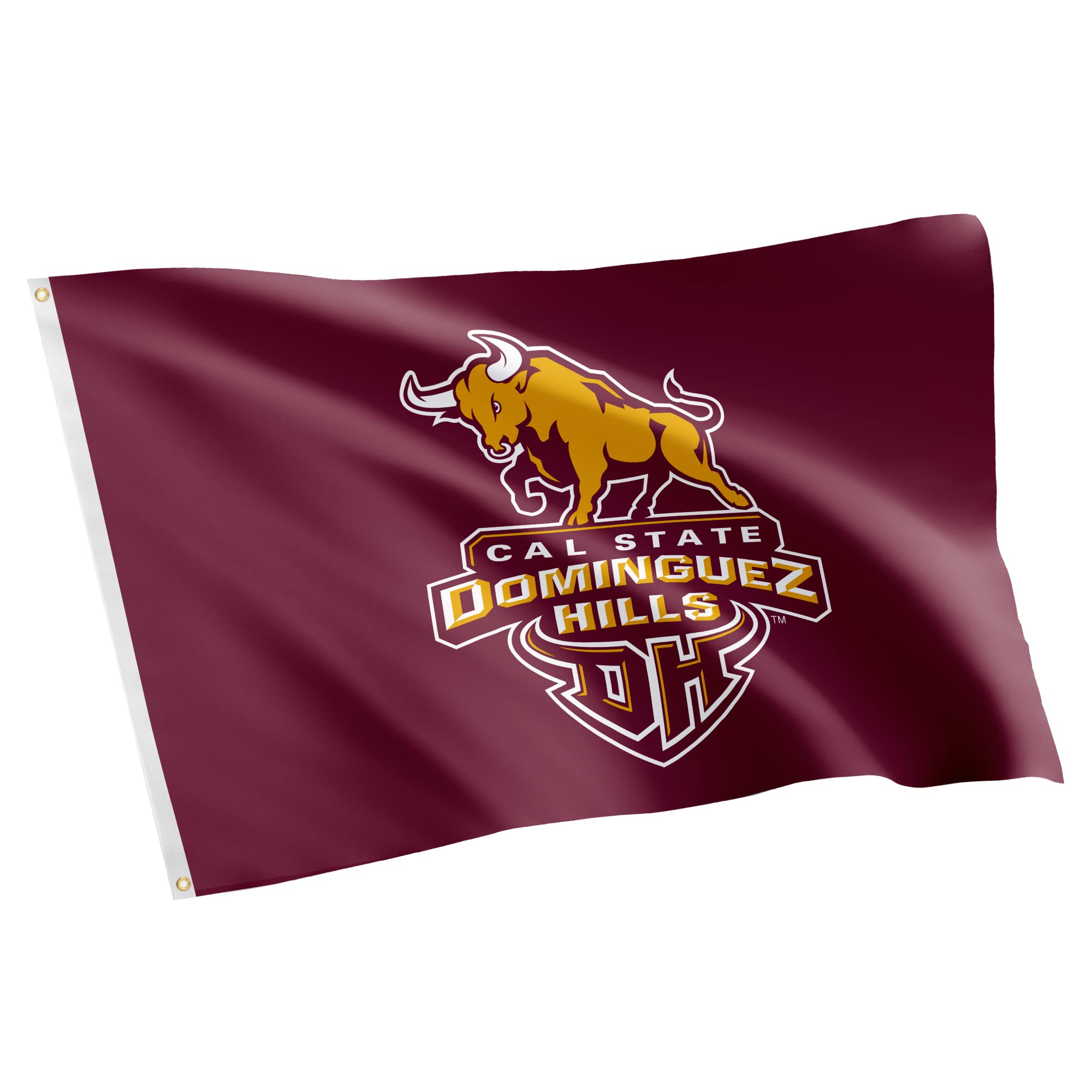 Amazon.com : Desert Cactus Cal State Dominguez Hills University ...