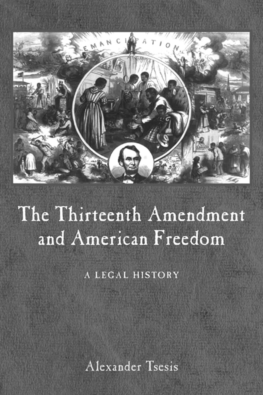 The Thirteenth Amendment and American Freedom: A Legal History ...