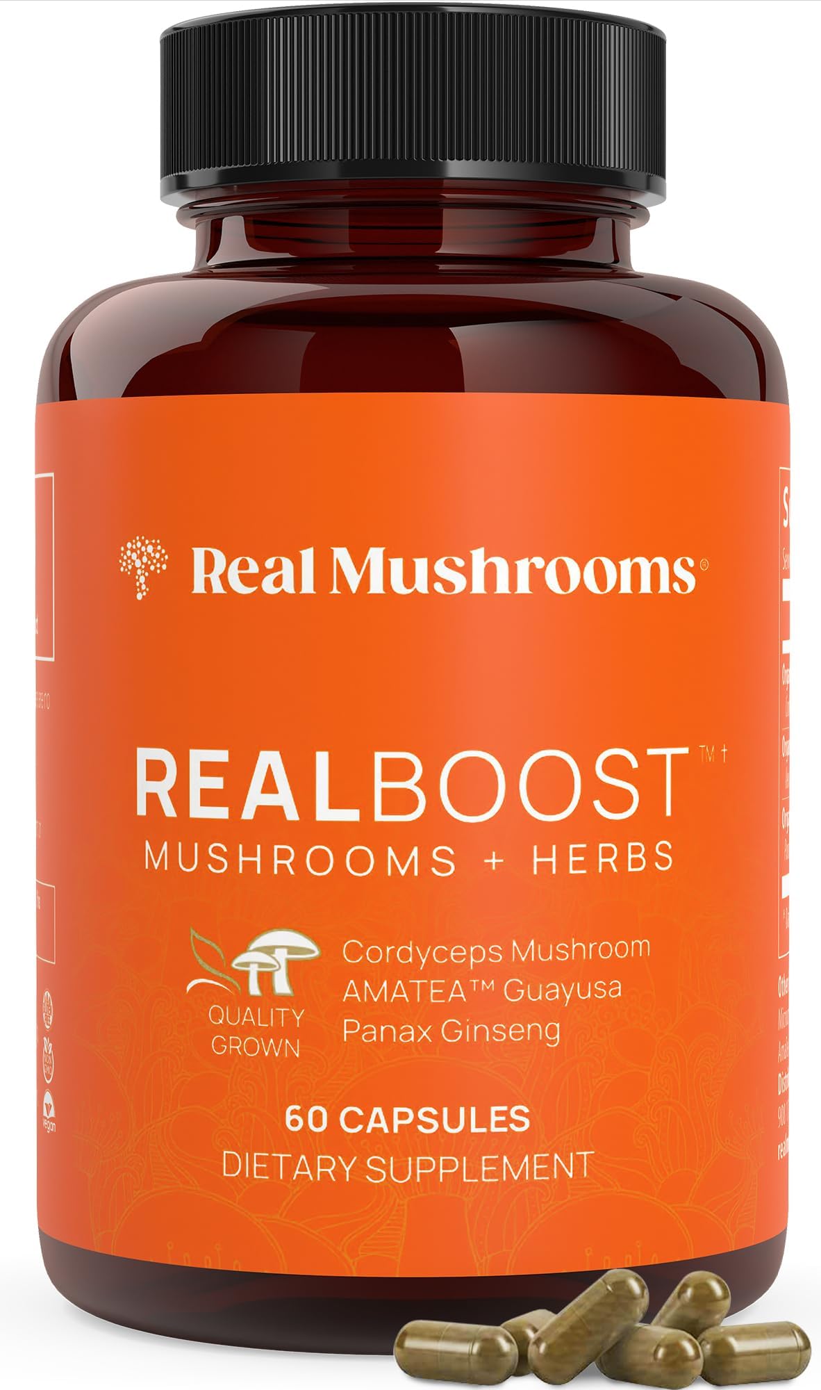 Amazon.com: Pro Formulations MD Myco Elite – Comprehensive Mushroom ...