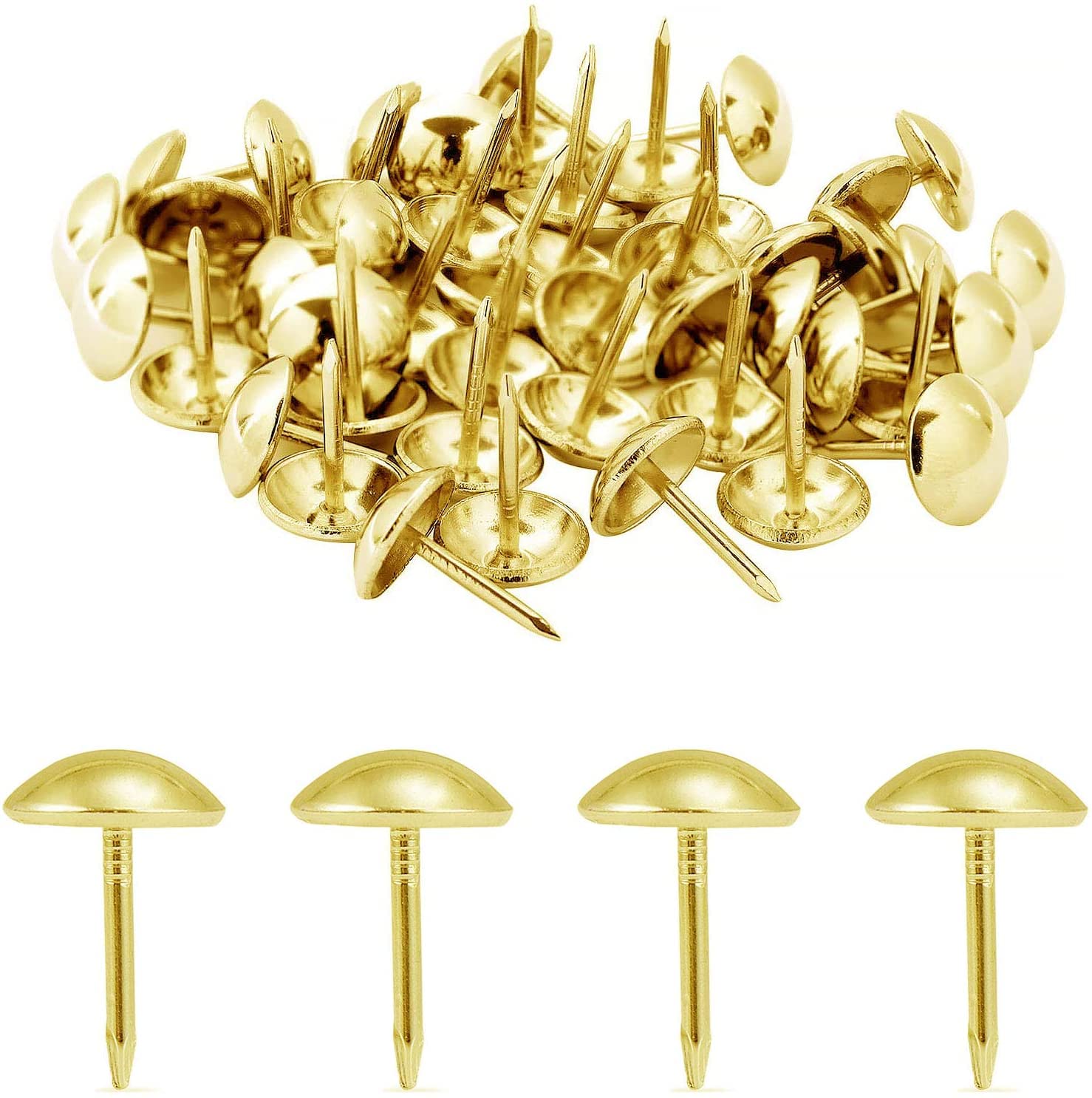 Rojdeal Golden Push Pin, Notice Board Pins Thumbtacks Pin Drawing Brass ...