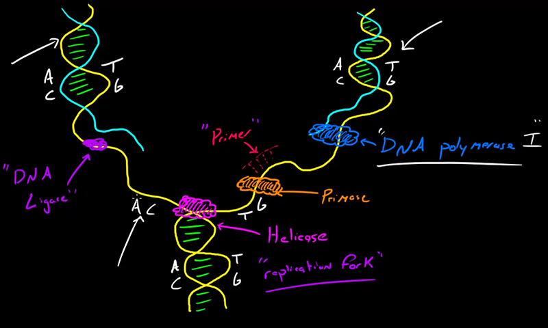 thenewboston Videos - App on the Amazon Appstore