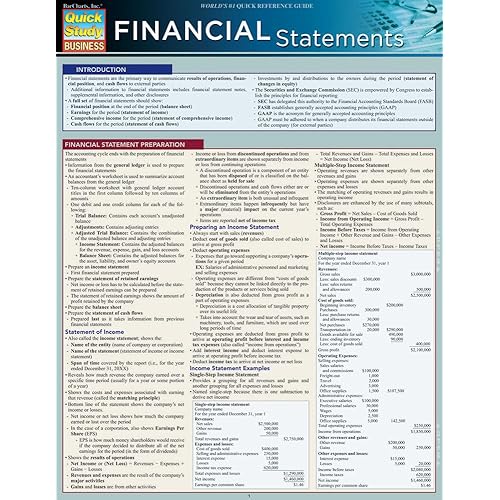 Snapklik.com : Financial Statements QuickStudy Laminated Reference Guide