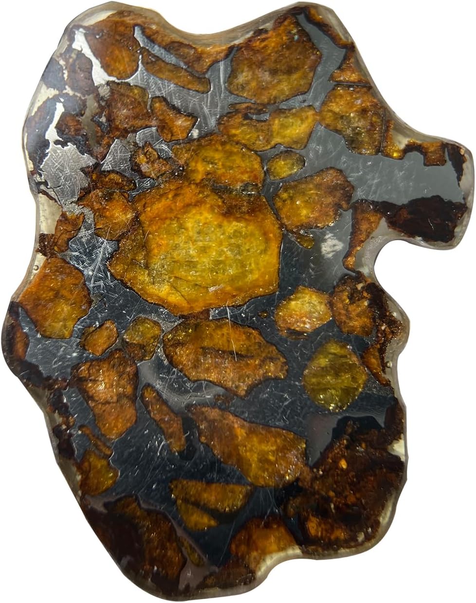 Amazon | hoconnie 隕石 Imilac イミラック隕石 かんらん石 オリーブ鉄隕石 鉄隕石 原石 隕石スライス 鉄隕石標本 本物保証 重さは：25.88g | ルースストーン 通販