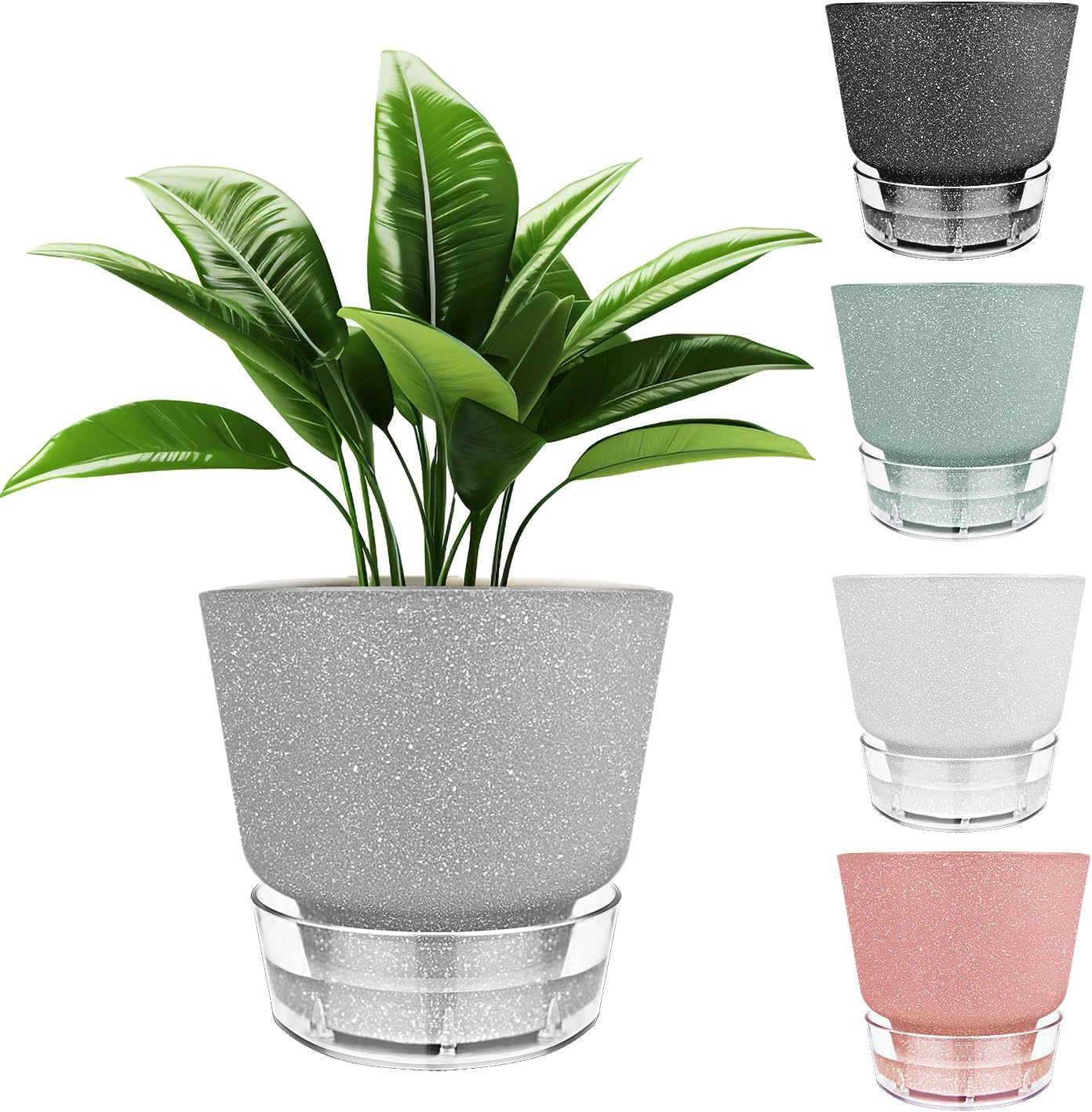 Amazon.com: Hayder Plant Pots 6 inch Set of 6, Self Watering Flower ...