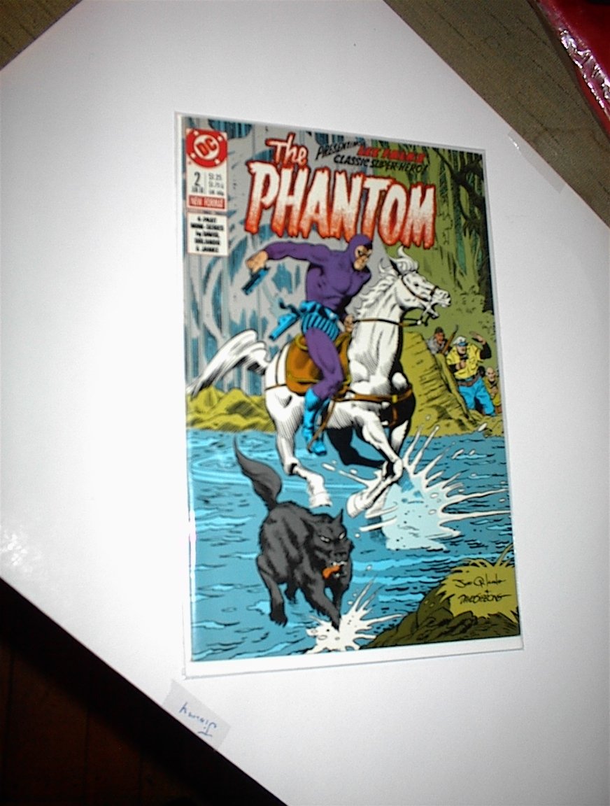 Amazon.com: Lee Falk's Classic Super-Hero the Phantom : 4 Part Mini ...