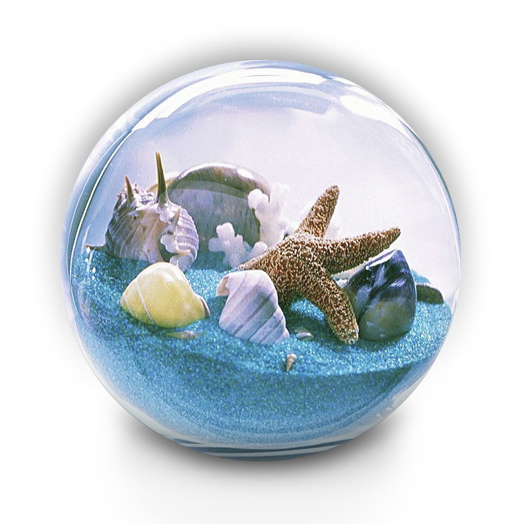 Ball Seashell Sand Wall Mural Starfish And Seashell With Christmas