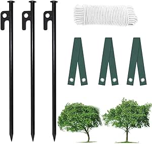 Amazon.com : Heavy Duty Steel Tree Stake Kit,Tree Stakes and Supports ...