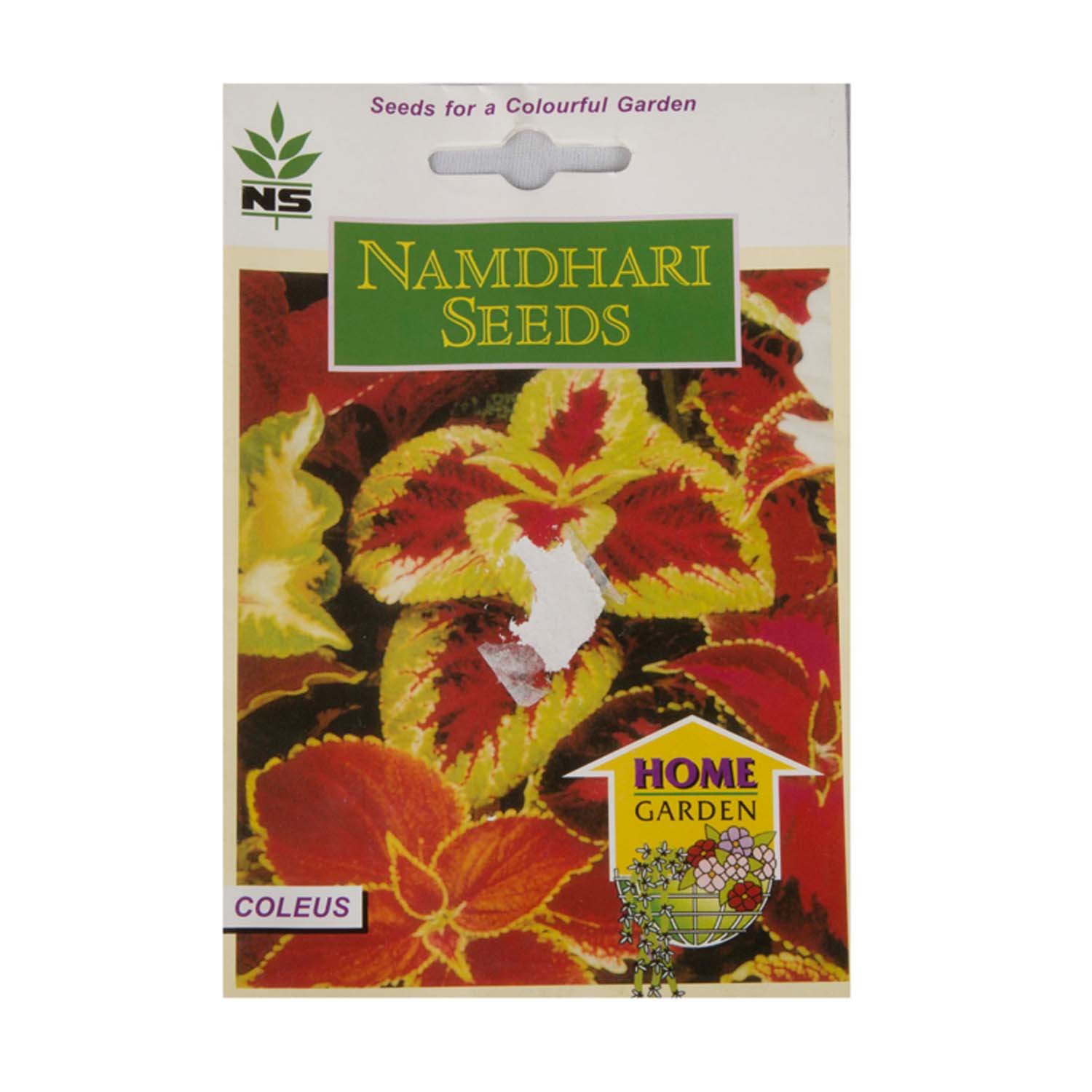 Namdhari Seeds Coleus Seeds : Amazon.in: Garden & Outdoors