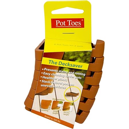 Amazon.com: Novelty Pot Toes [Set of 6] Color: Terracotta : Patio, Lawn ...