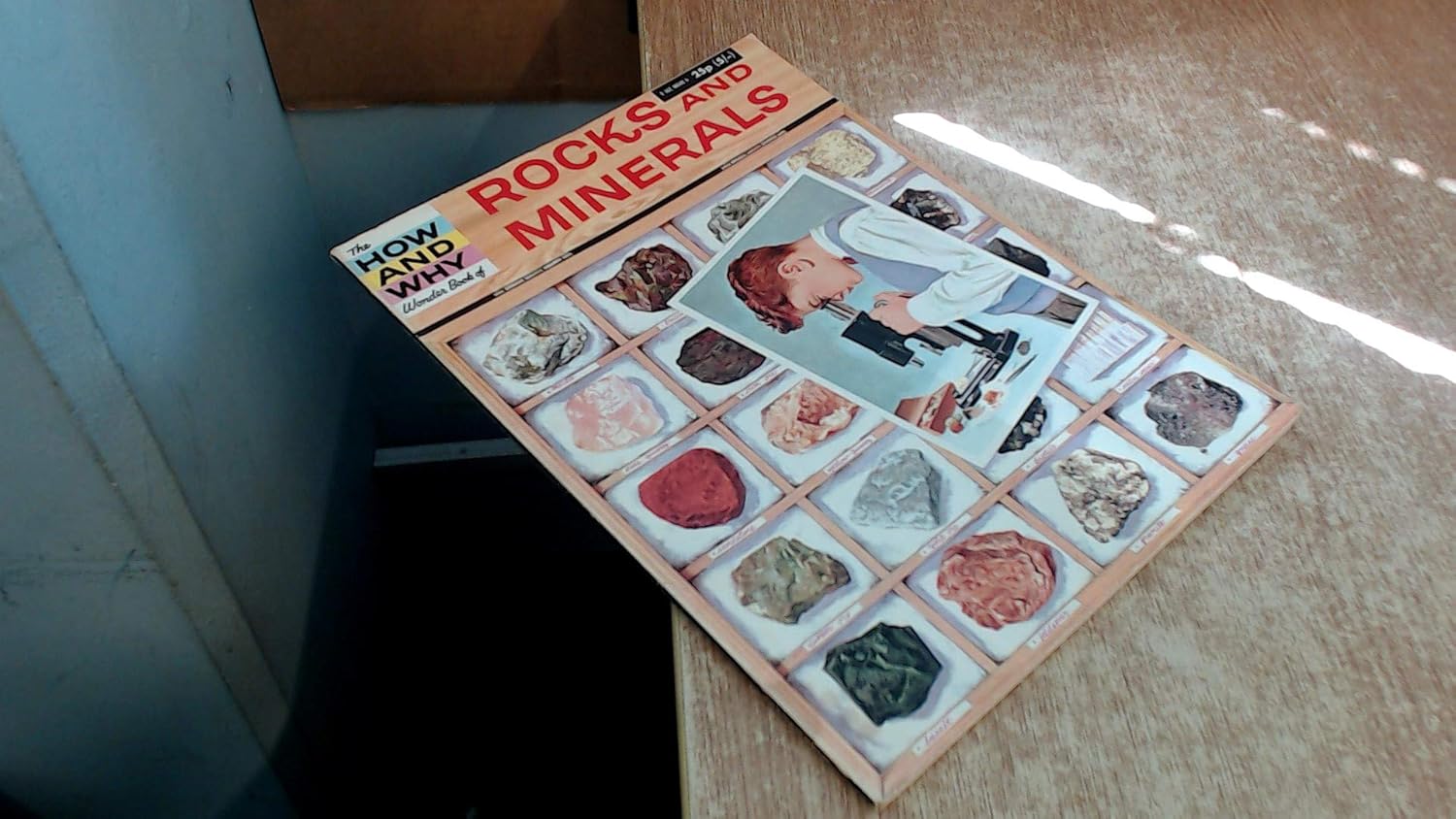 The how and why book of rocks and minerals: Nelson W. Hyler: Amazon.com ...