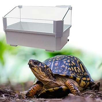 Jainsons Pet Products Turtle Tank, Full View Visually Tortoise Aquarium ...