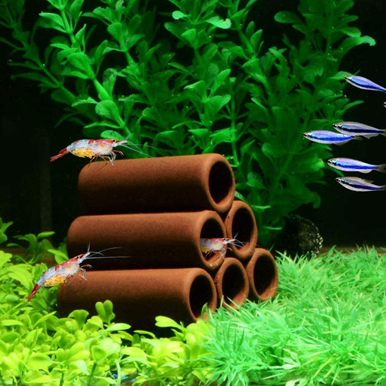 Snapklik.com : Aquarium Breeding Cave Ceramic Shrimp Shelter Spawning ...