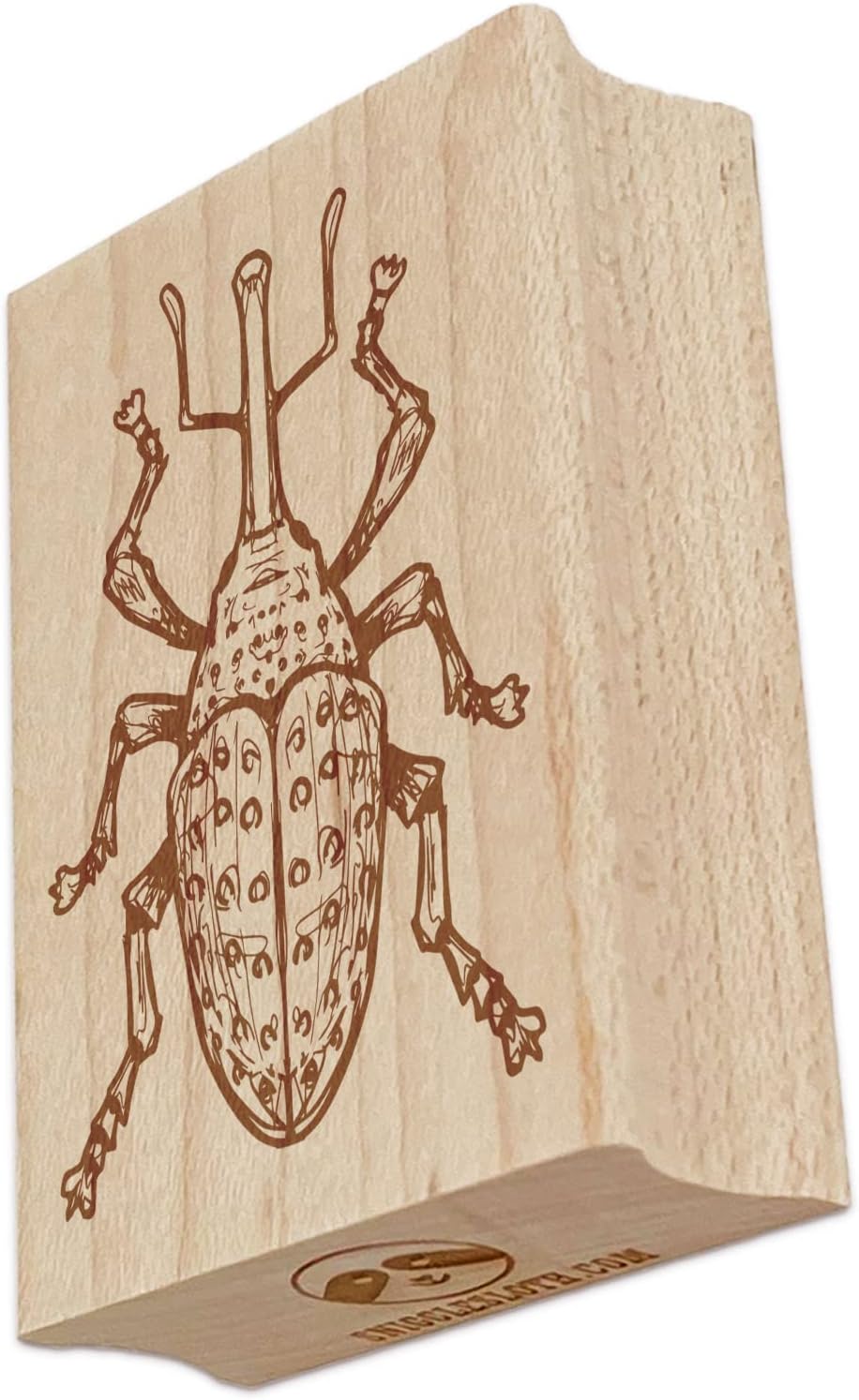 Amazon.com: Weevil Snout Beetle Insect Bug Rectangle Rubber Stamp for ...