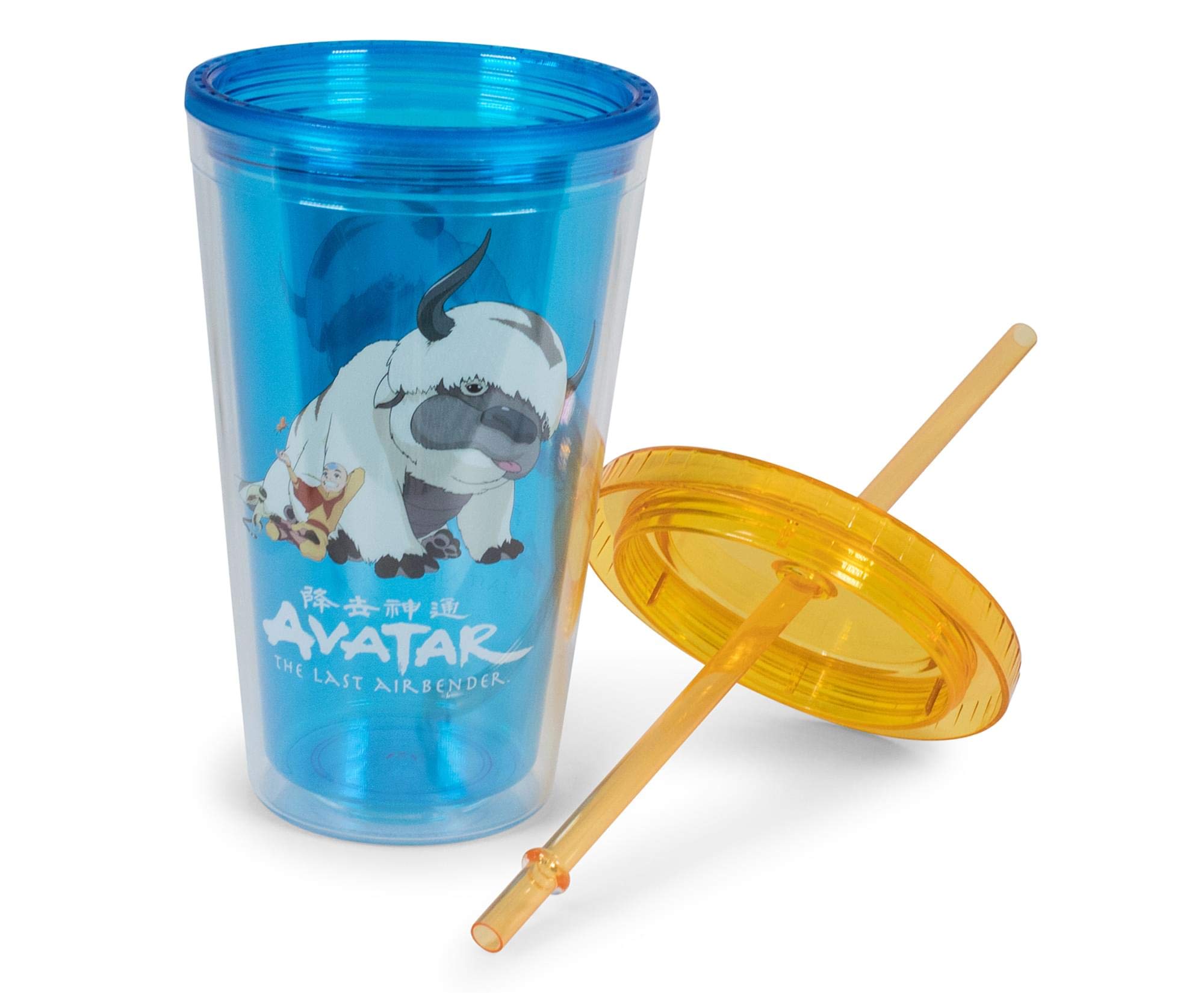 Snapklik.com : Surreal Entertainment Avatar: The Last Airbender Aang ...
