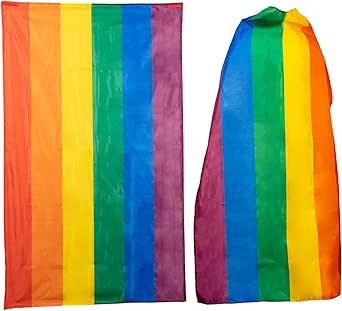 Amazon.com: Windy City Novelties 2 Pack Rainbow Pride Capes 3 x 5 Feet ...