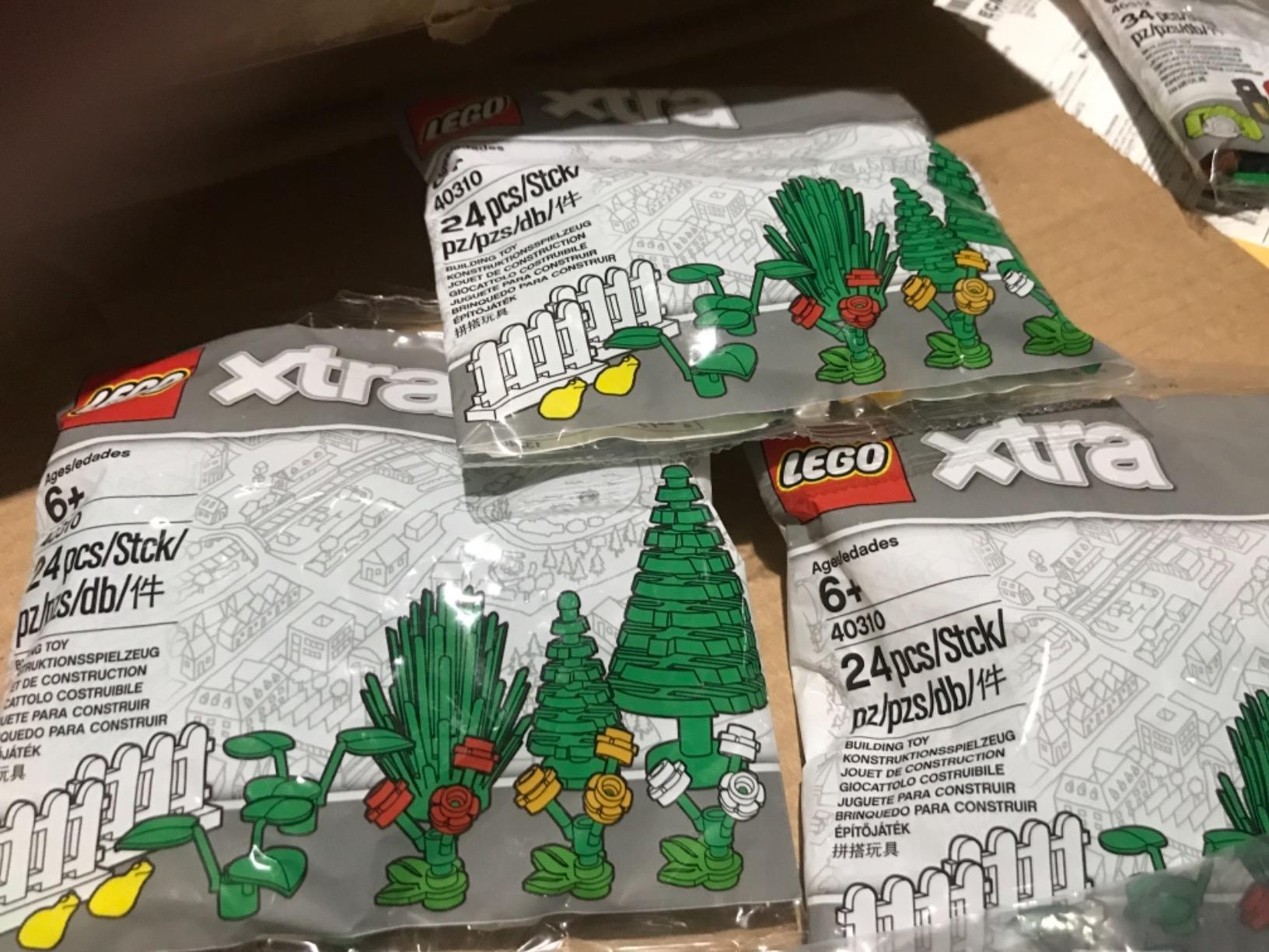 Amazon.com: LEGO Botanical Accessories polybag (xtra) 40310 : Toys & Games