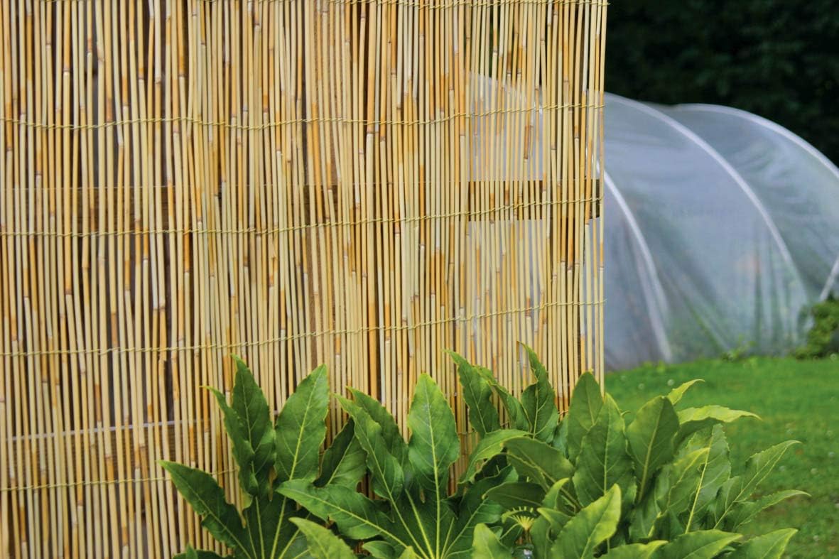 RUDDINGS WOOD Reed Screening 2m x 4m : Amazon.co.uk: Garden