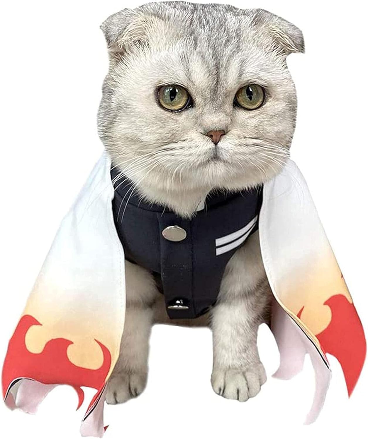 Amazon.com : Pet Costume Anime Kimetsu no Yaiba Cosplay Clothes Puppy ...