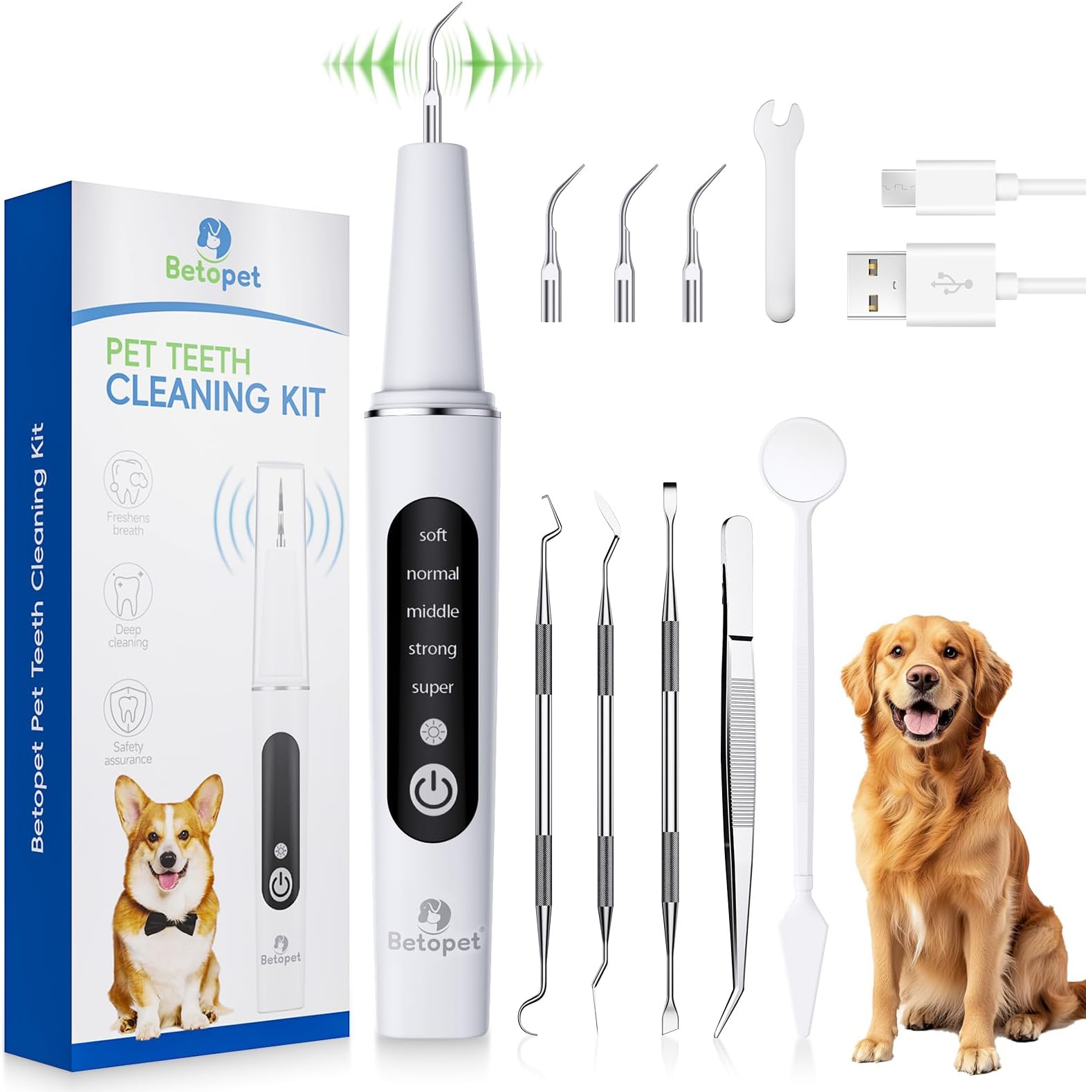 Amazon.com: BETOPET Dog Plaque Remover for Teeth Dog, Waterproof ...