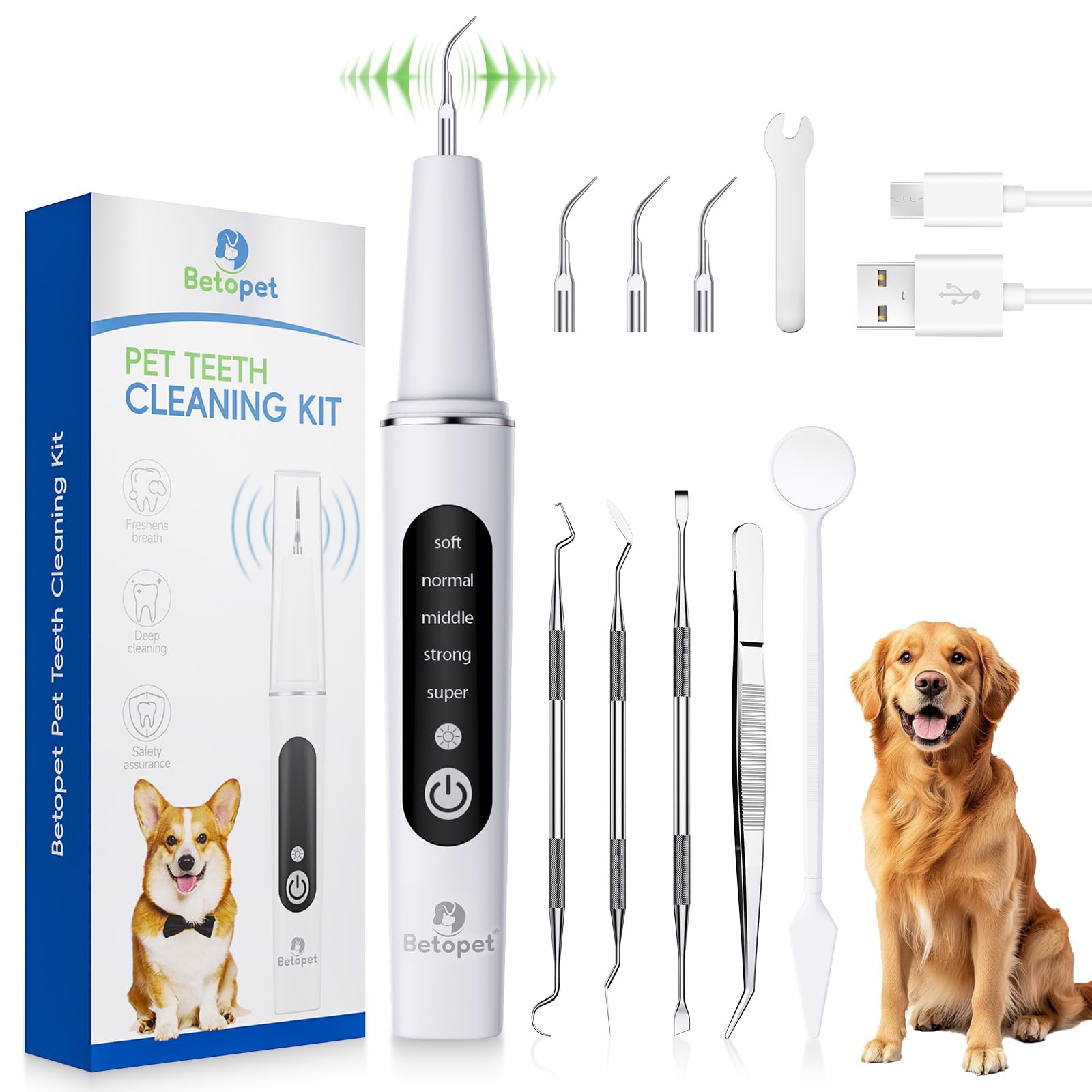 Amazon.com: BETOPET Dog Plaque Remover for Teeth Dog, Waterproof ...