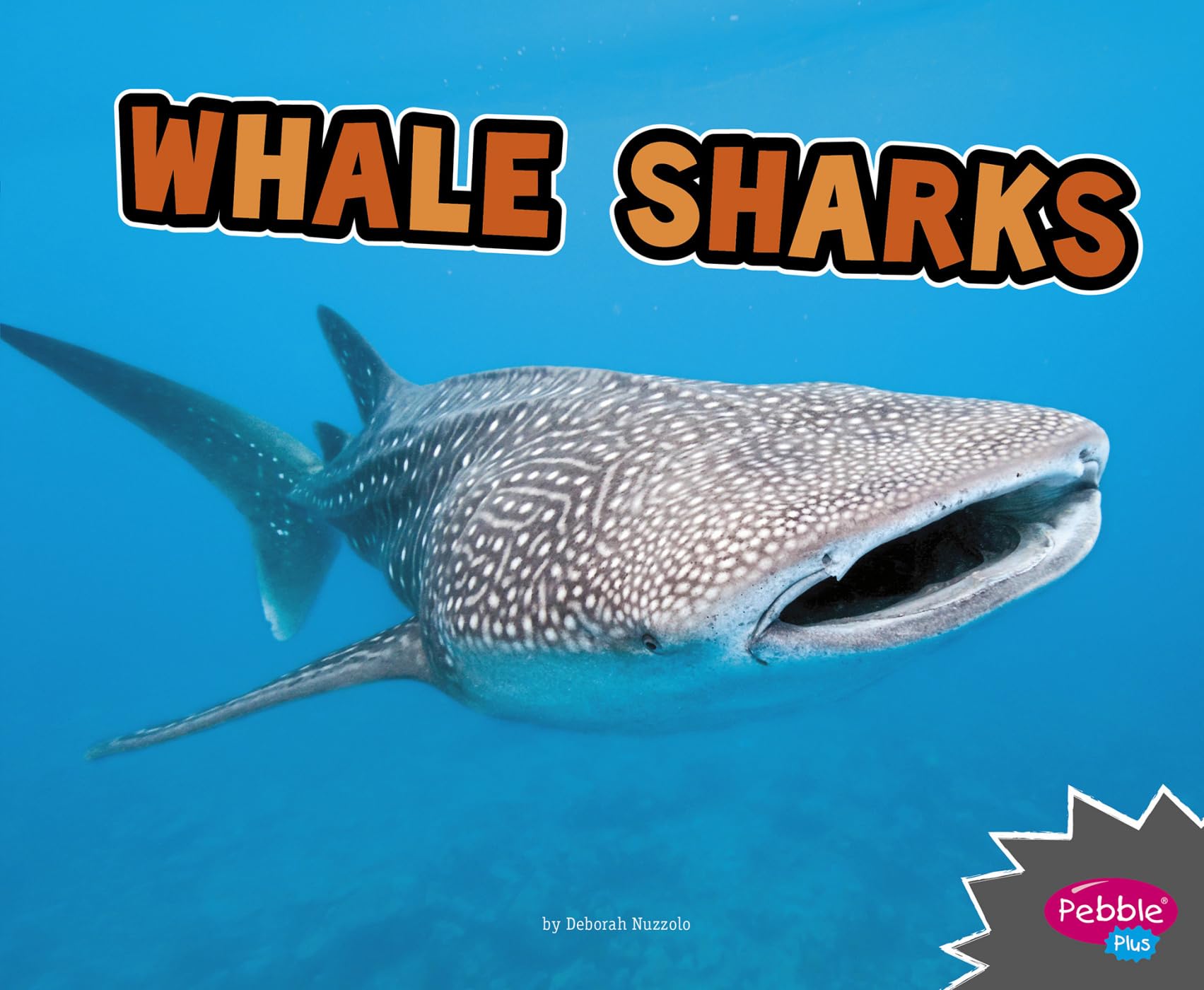 Snapklik.com : Whale Sharks