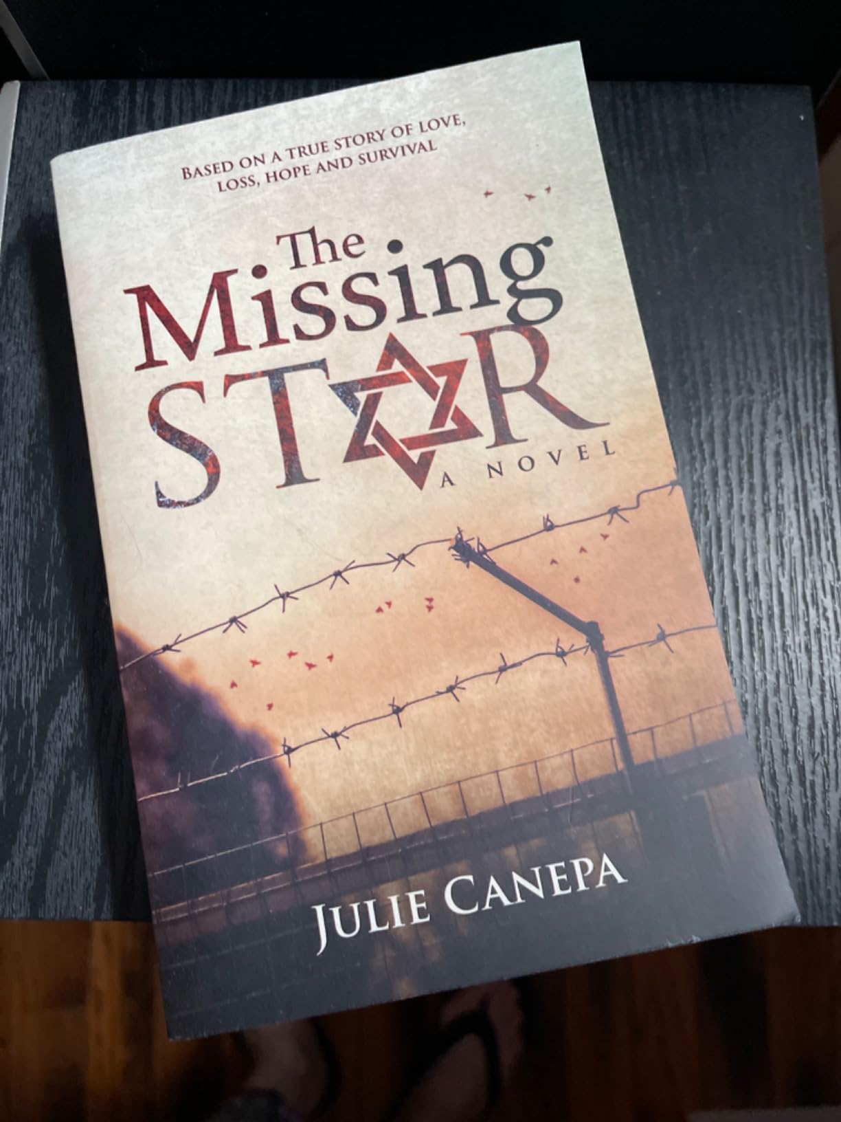 The Missing Star: A Novel: Canepa, Julie: 9798986838700: Amazon.com: Books