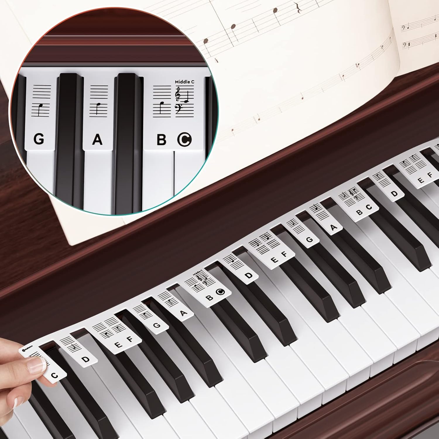 Amazon.com: Removable Piano Keyboard Note Labels - 88 Keys (with ...