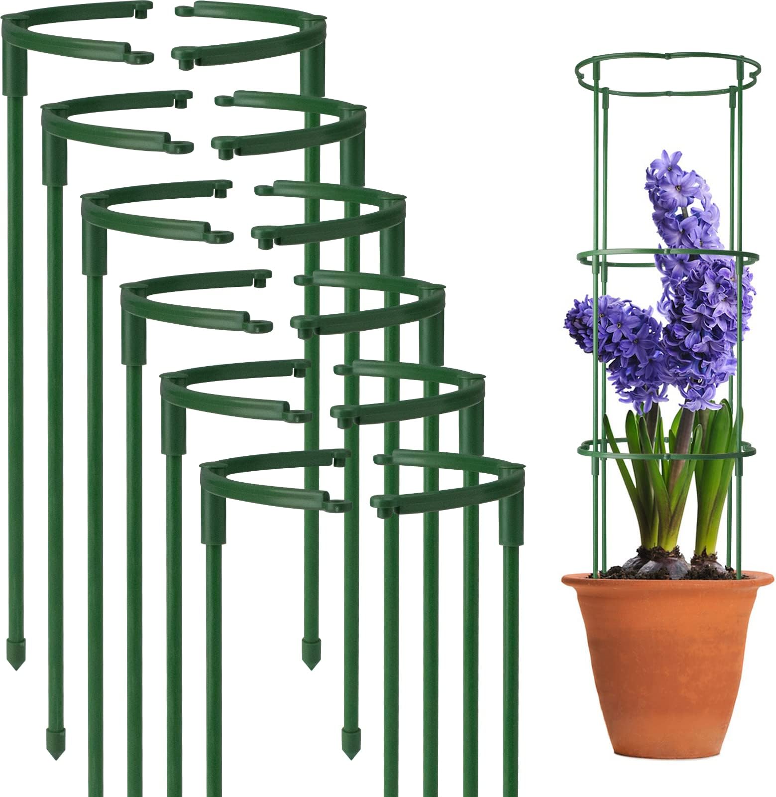 Amazon.com : 8 Pack Half Round Plant Support Stakes Sets - Strong Plant ...