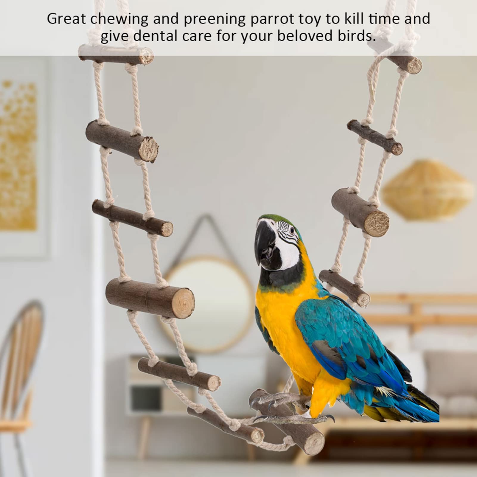Snapklik.com : Pet Hamster Climbing Ladder Toys, Squirrel Suspension ...