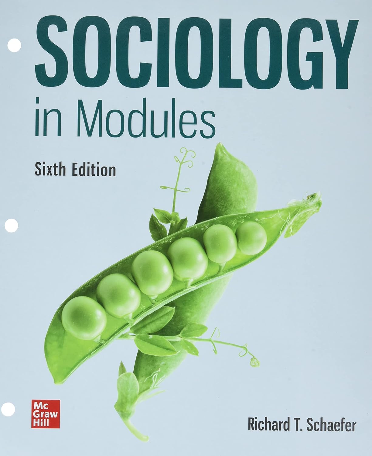 Amazon.com: Looseleaf for Sociology in Modules: 9781264113132: Schaefer ...