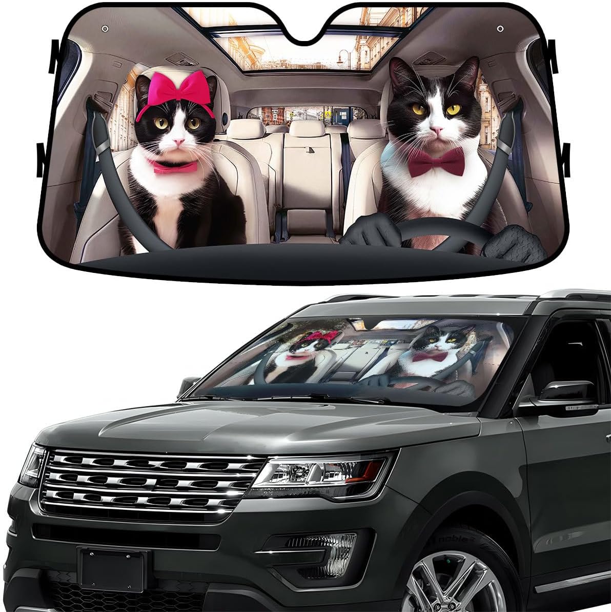 Amazon.com: Surreal Entertainment Star Trek: The Next Generation Cats ...