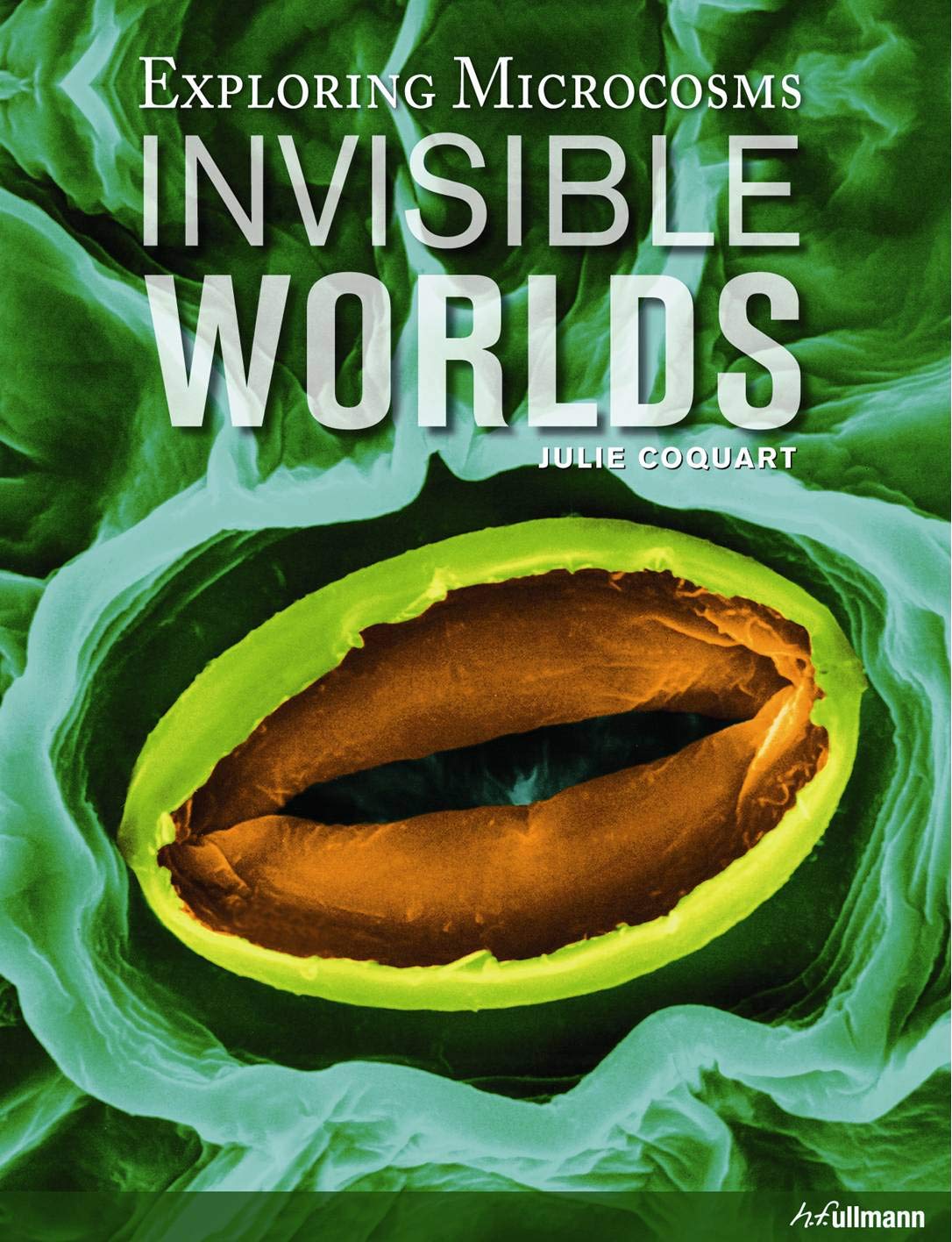 Invisible Worlds: Exploring Microcosmos: Coquart, Julie: 9783848001842 ...