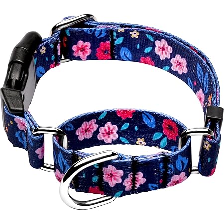 Amazon.com : Martingale Collar for Dogs, Adjustable Soft Nylon Dog ...