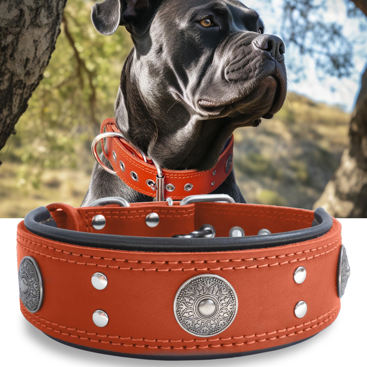 5 Best Dog Collars For German Shepherds | 2-Inch Wide Neck Relief