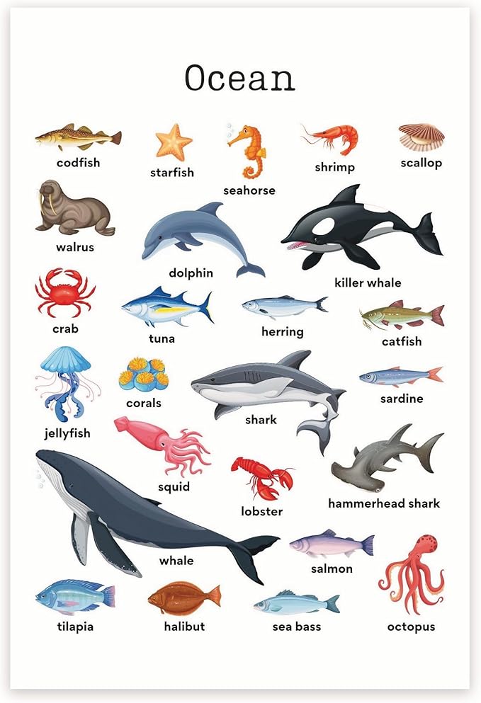 Amazon.com: Ocean Animals Poster - Ocean Creatures Ocean Wildlife ...