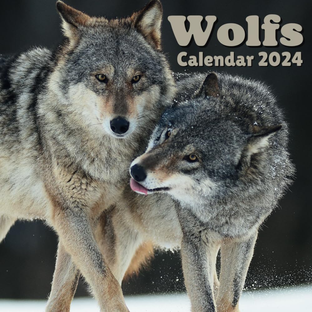 Wolf calendar 2024: September 2023 to December 2024 Monthly Weekly ...