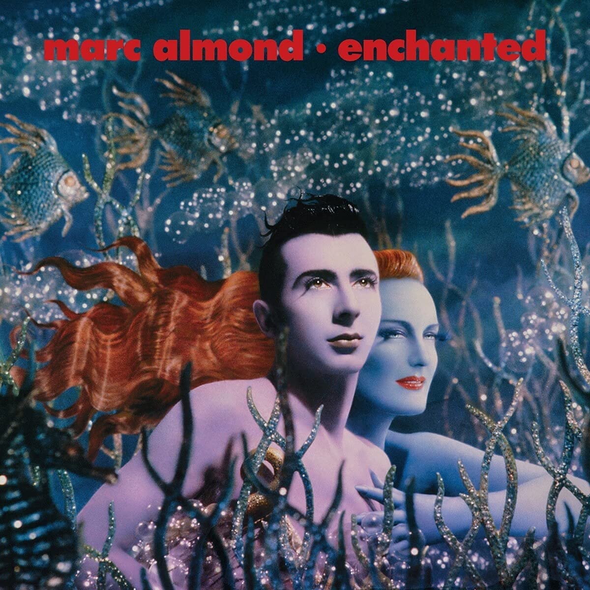Amazon.co.jp: Enchanted -CD+DVD-: ミュージック