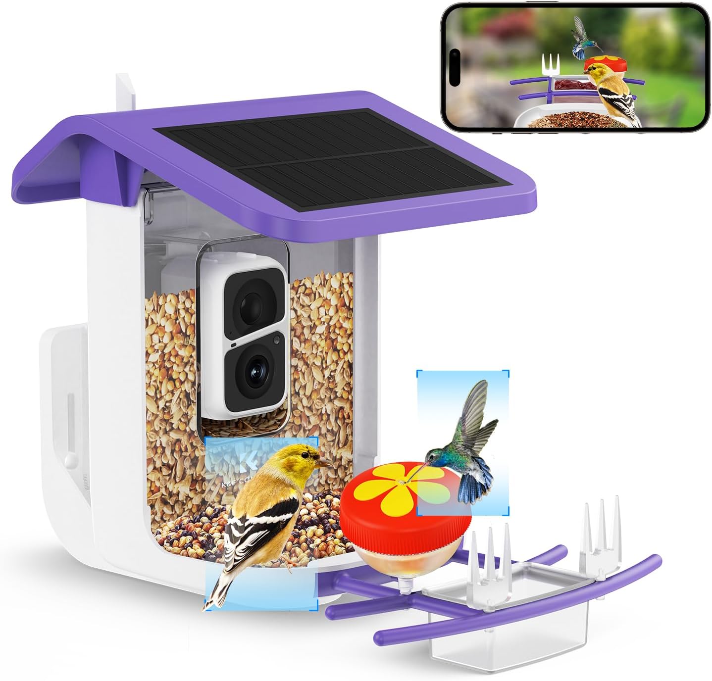 K&F Concept Bird Feeder Camera, Solar Battery Powered Wireless Bird ...
