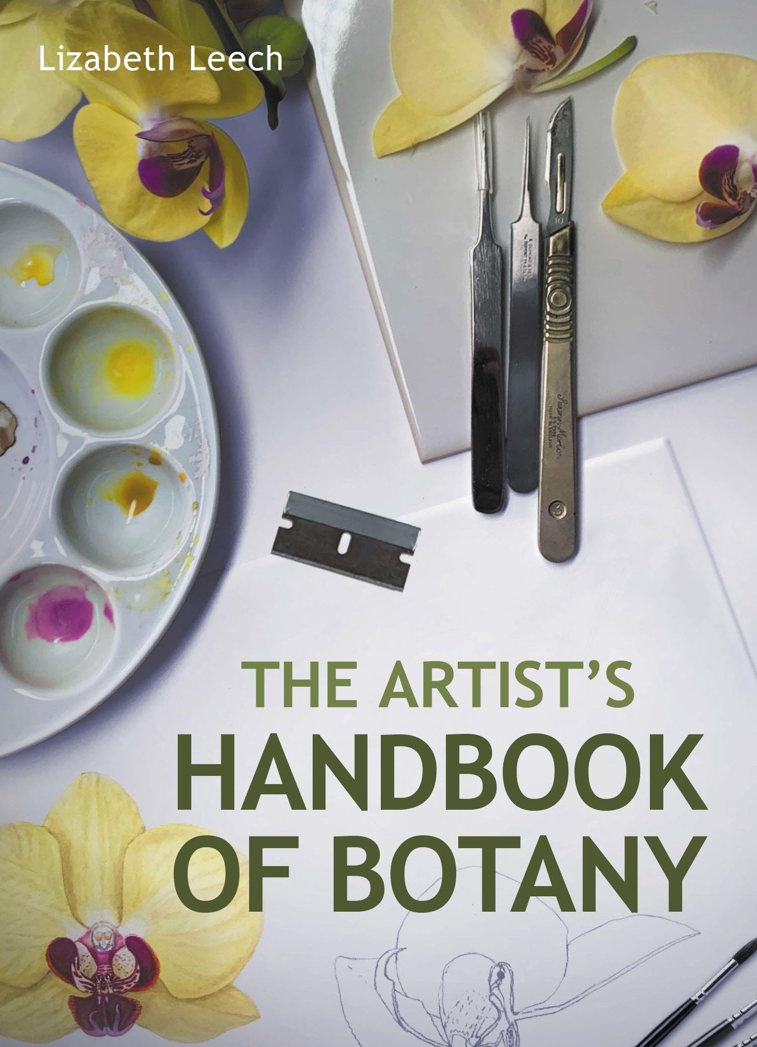 Artists Handbook of Botany: Amazon.co.uk: Leech, Lizabeth ...